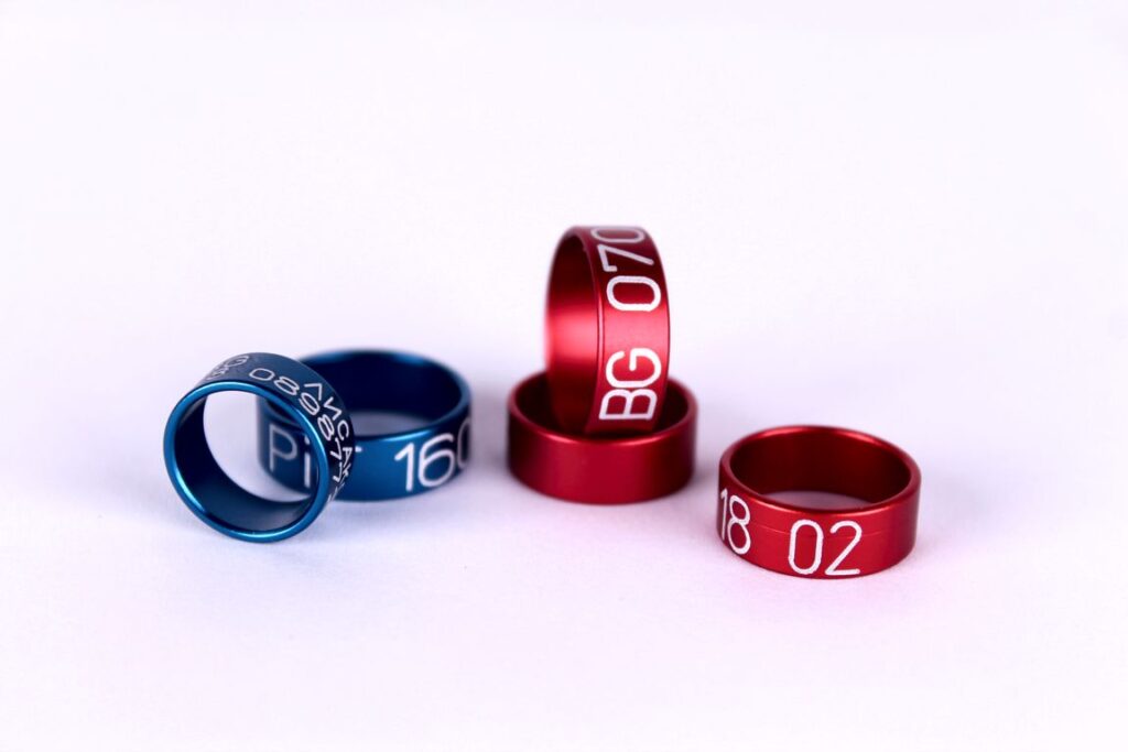 Stainless steel rings with laser marking – PLASTICA PRO Ltd.